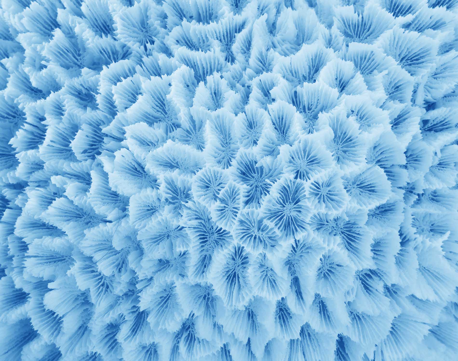 Which CIL liability notice to challenge, and when - UK Planning Law Blog