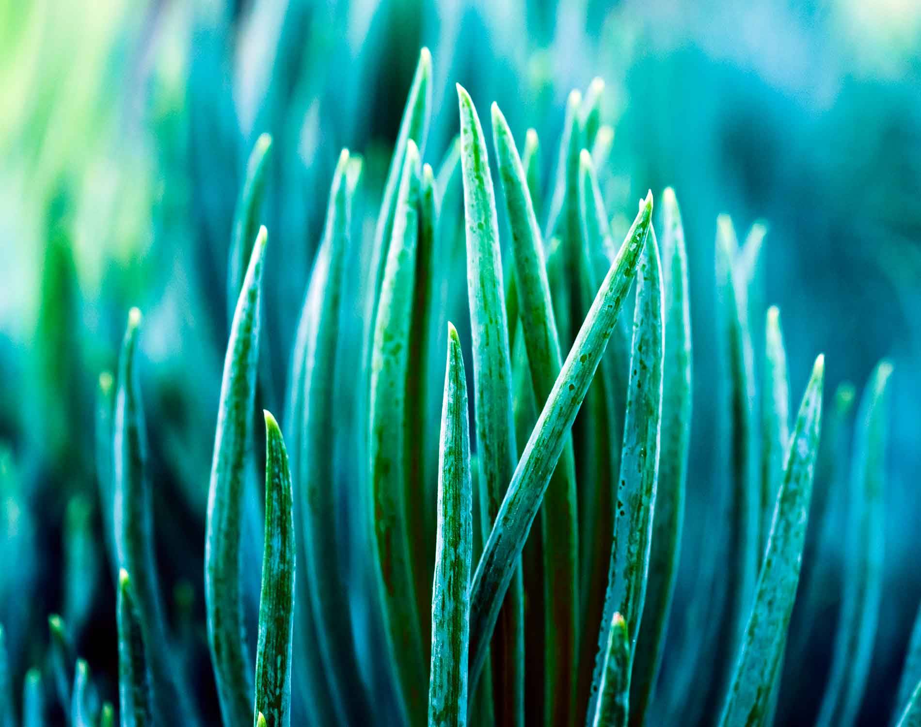 BNG Issues Help To Scupper Housing Scheme - UK Planning Law Blog