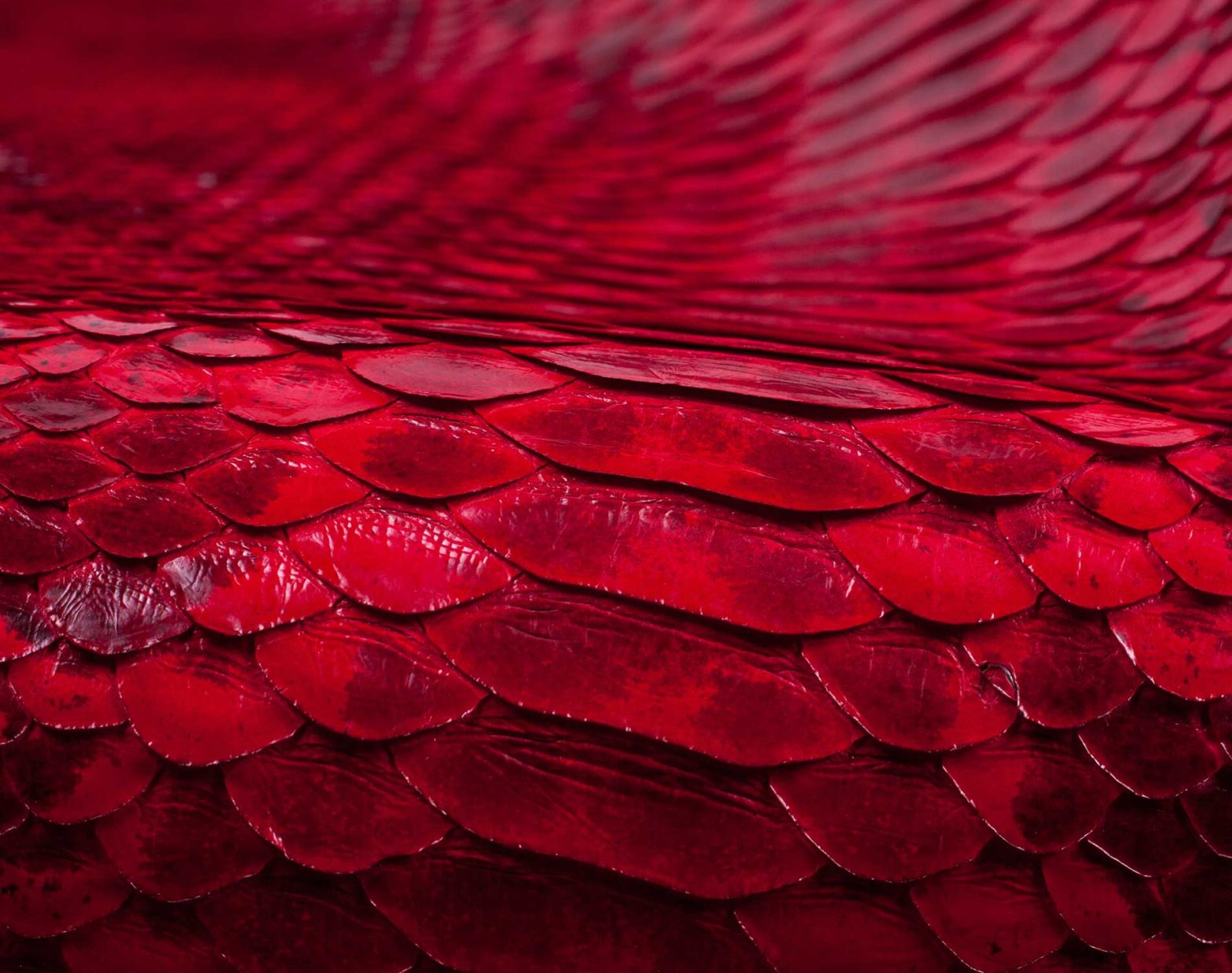 NPPF 2024: Ring in the changes for infrastructure - UK Planning Law Blog